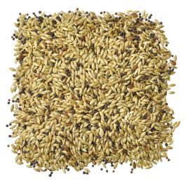 Roller Canary Mix, 3 - 50 lbs.