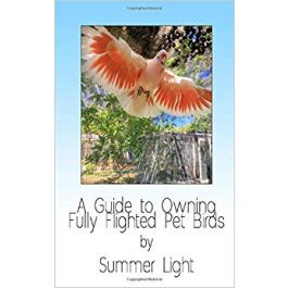 A Guide To Owning Fully Flighted Pet Birds